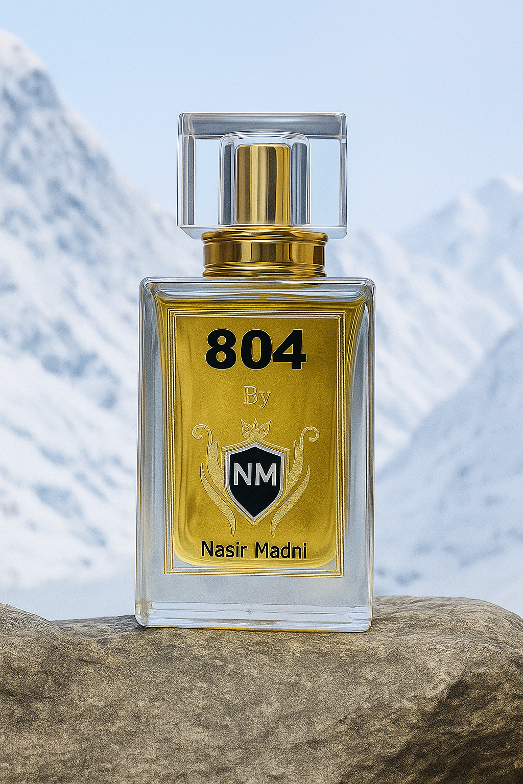 Nasir Madni